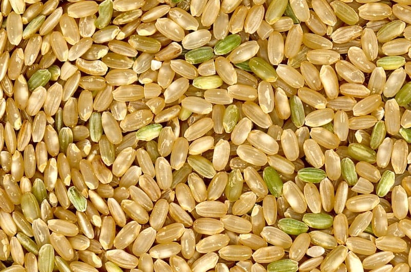 Agua de Horchata: hidratación deliciosa! - Paulina Cocina