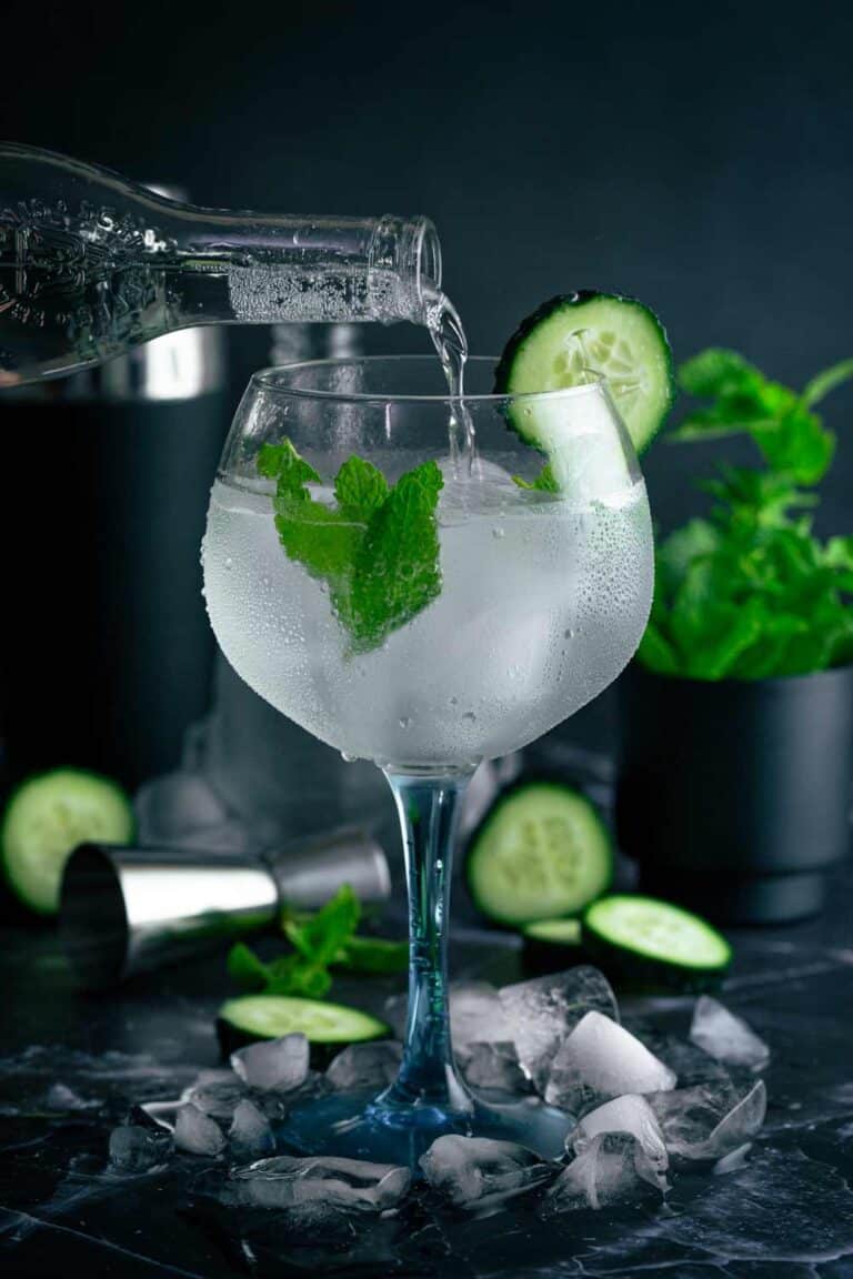 Cómo preparar el Gin Tonic Perfecto - Paulina Cocina